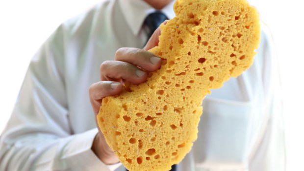 ¿Cómo lograr que la pulcritud sea un valor personal y profesional?