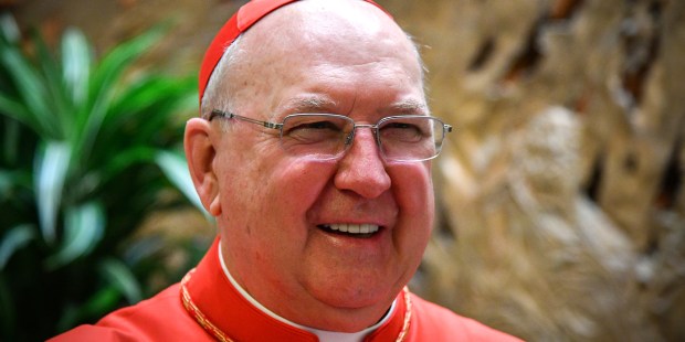 ¿Qué hace y quién es el cardenal camarlengo?