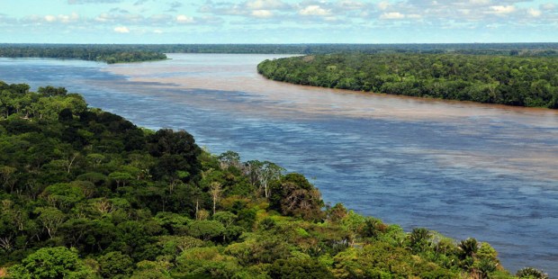 Las exuberantes y salvajes selvas latinoamericanas
