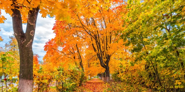 Oración de bendición para dar la bienvenida al otoño