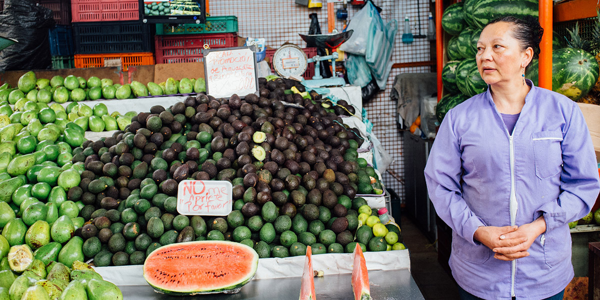El aguacate, un fruto que llena de esperanza a miles de colombianos