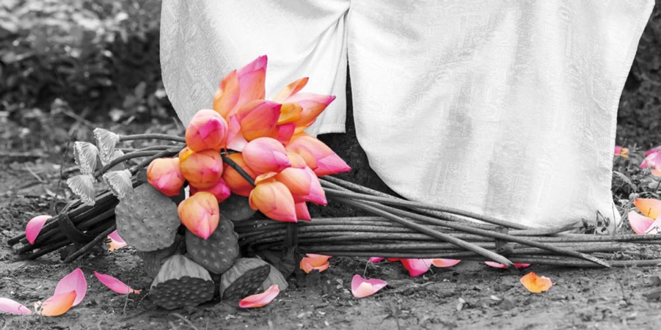 El loto, un tejido ecológico exquisito