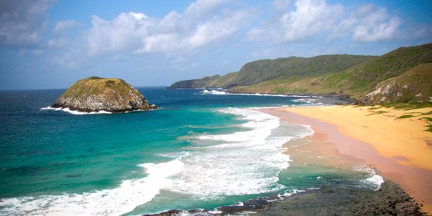 El nacimiento que sorprende a la isla brasileña donde dar a luz está ...