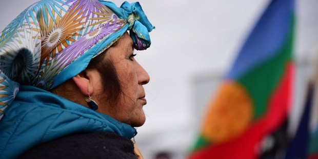 ¿Qué pueden hacer los mapuches por tu salud? Chile y la experiencia en ...