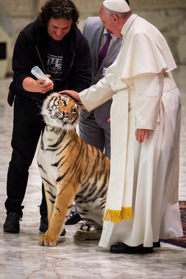 Benedicto XVI "conocía el lenguaje de los gatos"