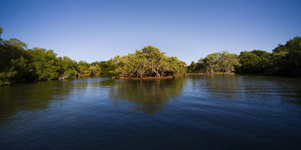 El paraíso en una laguna, el lazo que une a toda una isla