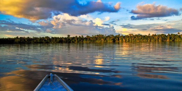 Viajando por la Amazonía: Perú, paraíso de biodiversidad