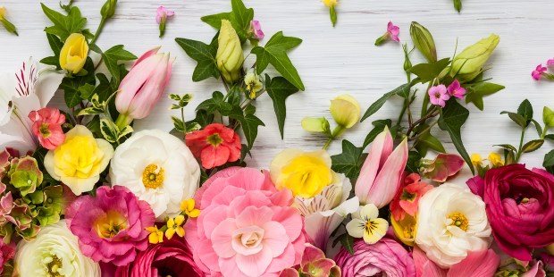 Una florista ilumina su ciudad con hermosas instalaciones florales