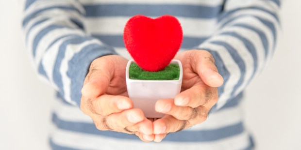 ¿Es rentable ser generoso?