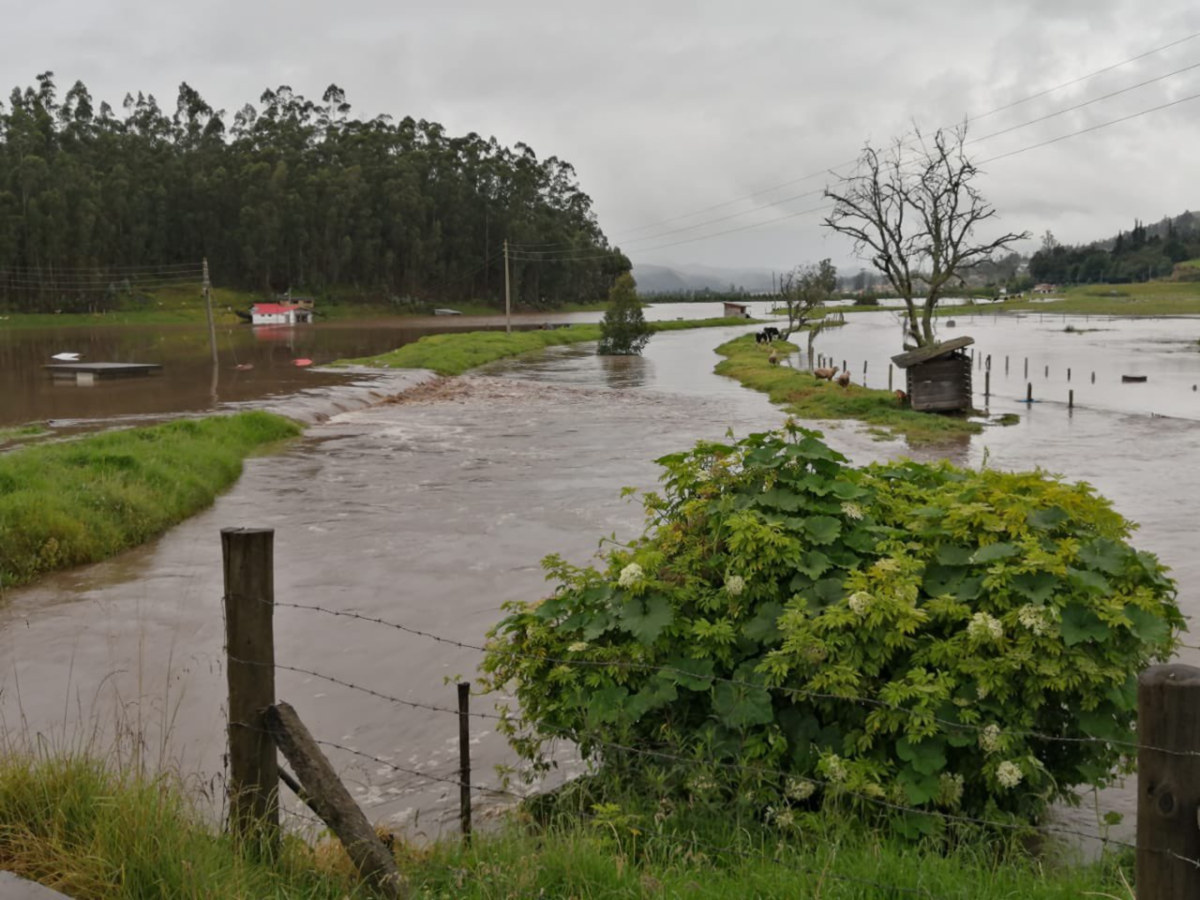 Cuenca (Ecuador): Los bomberos que salvan vidas en medio de las ...