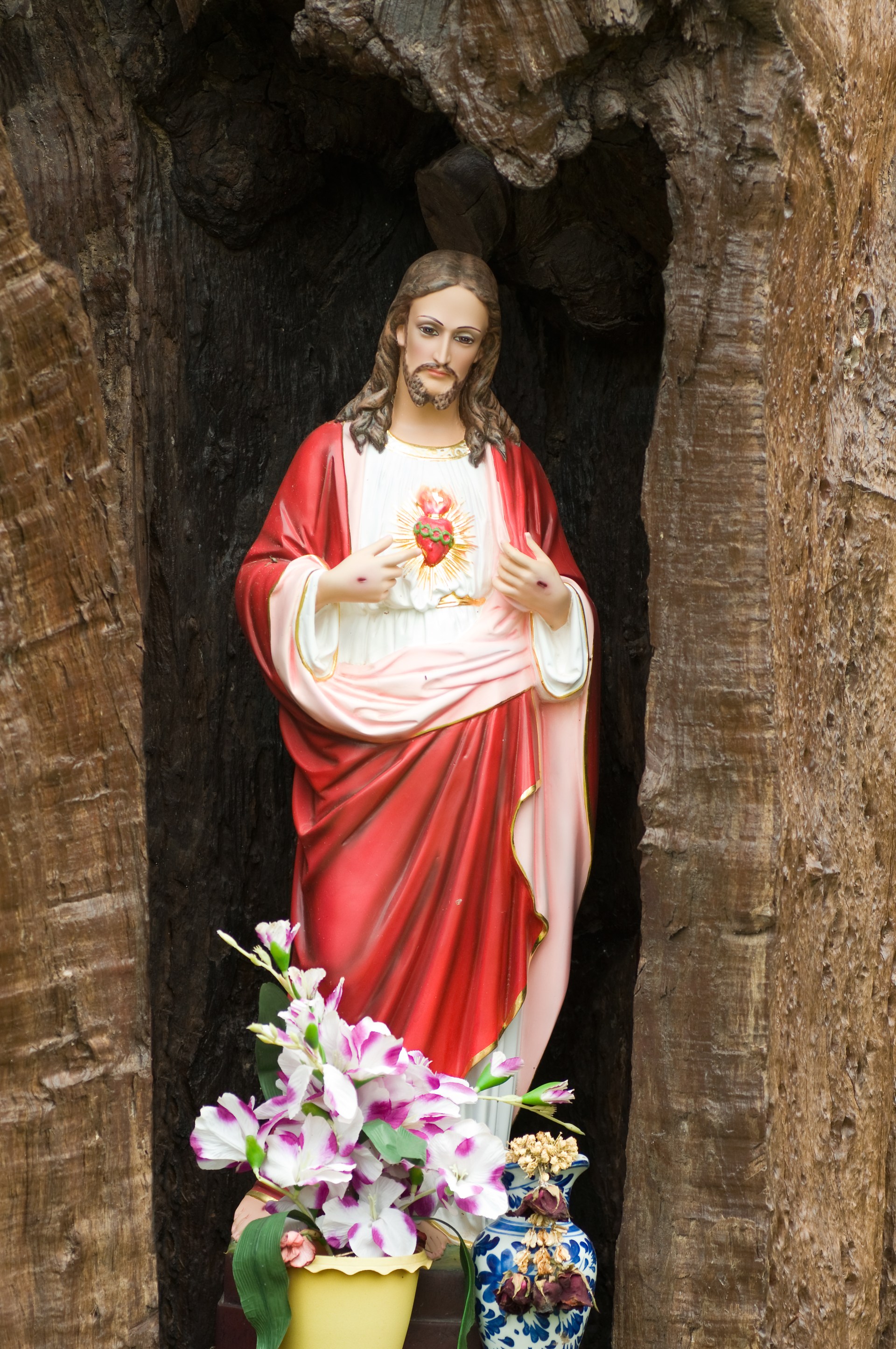 ¿Eres devoto del Sagrado Corazón de Jesús?